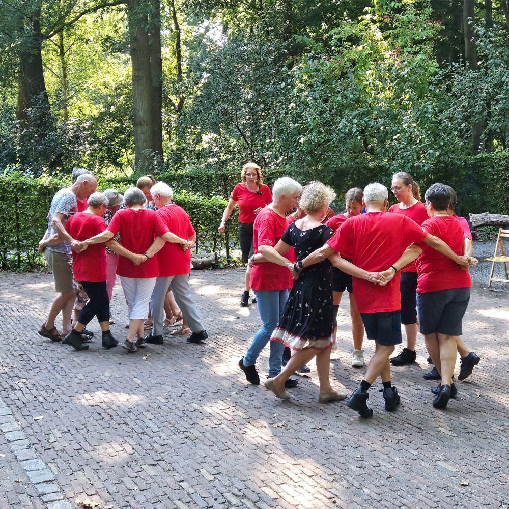 Wereld Dansgroep Tschaveska - OVER ONS